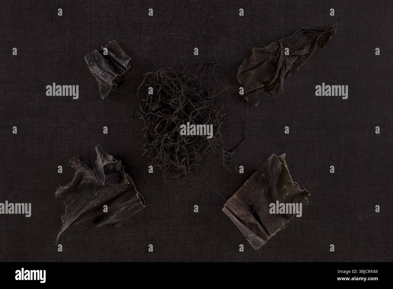 Traditional chinese medicine seaweed and Dan Shen on black background ...