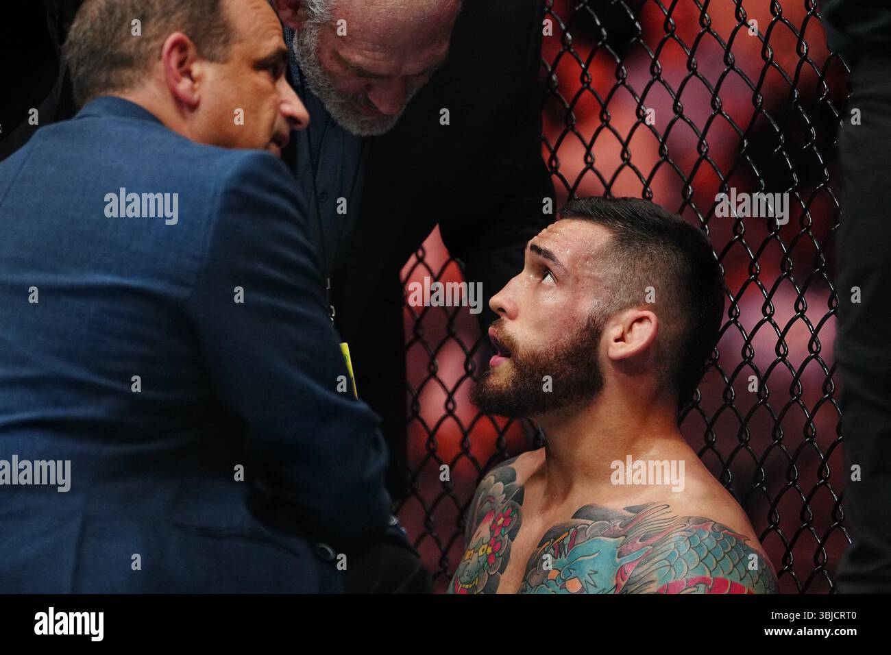 Paul craig and rodolfo bellato hi-res stock photography and images - Alamy