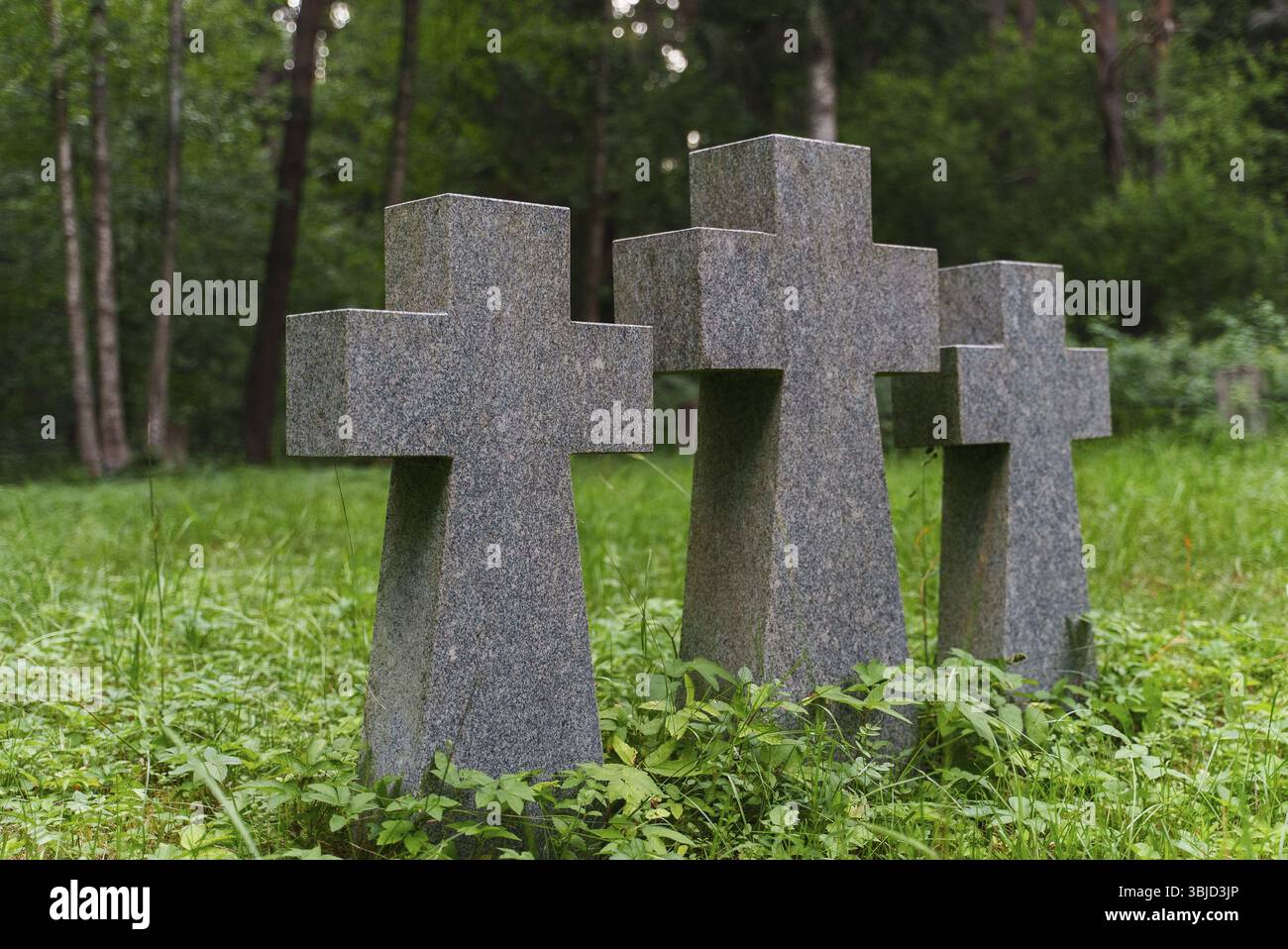 Three stone crosses in a cemetery in the forest Stock Photo - Alamy
