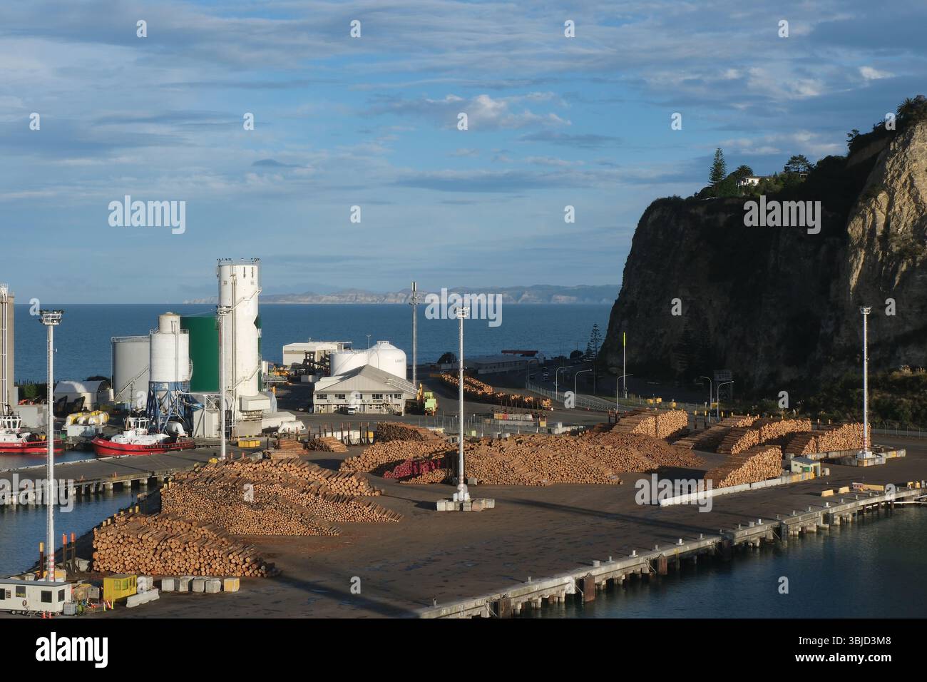 Wood terminal with tree logs and mobile cranes operated by stevedores ...