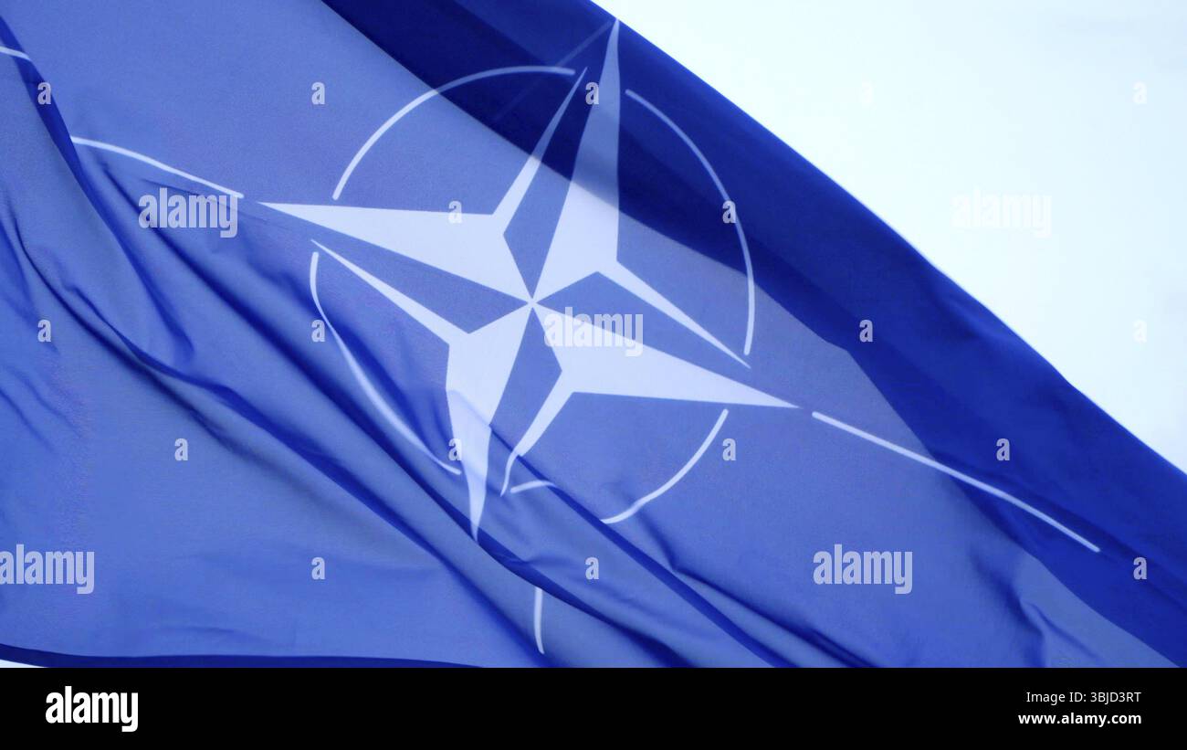 Nato badge hi-res stock photography and images - Alamy