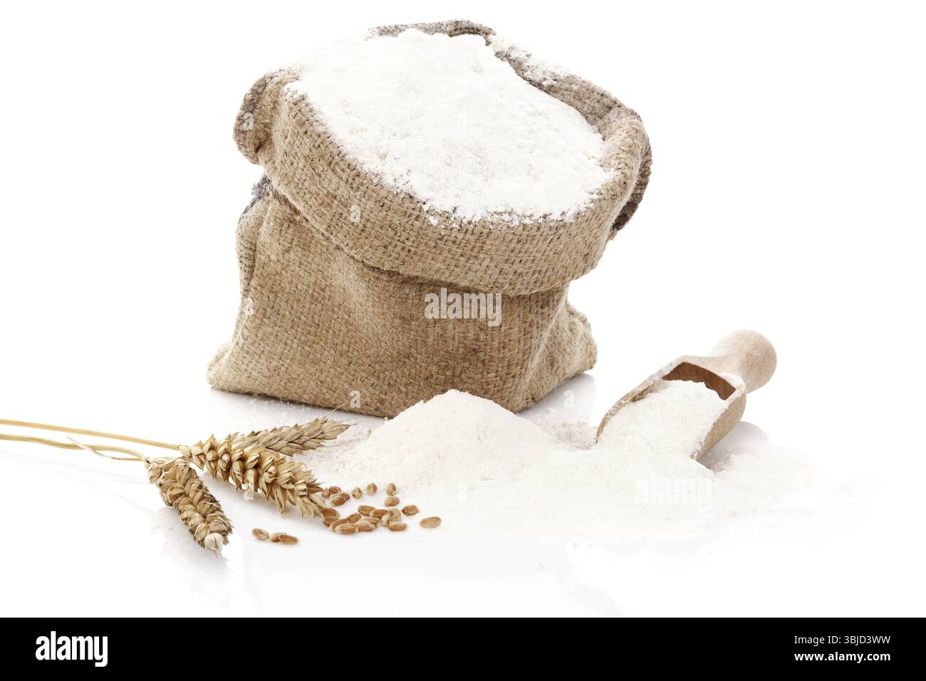 Flour in burlap sack. Flour and rye crop isolated on white background ...