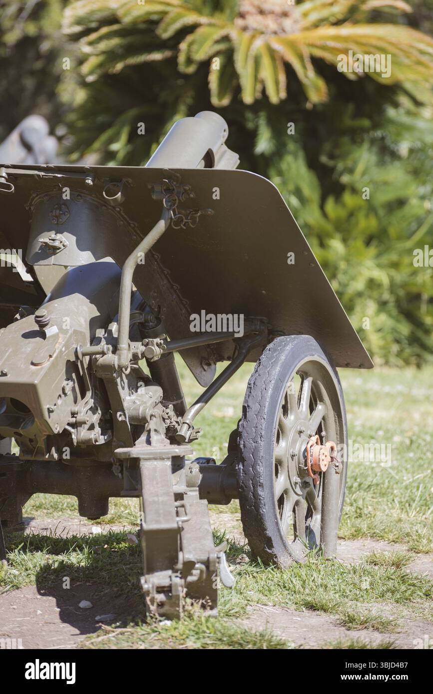 Old war cannon in the forest Stock Photo - Alamy