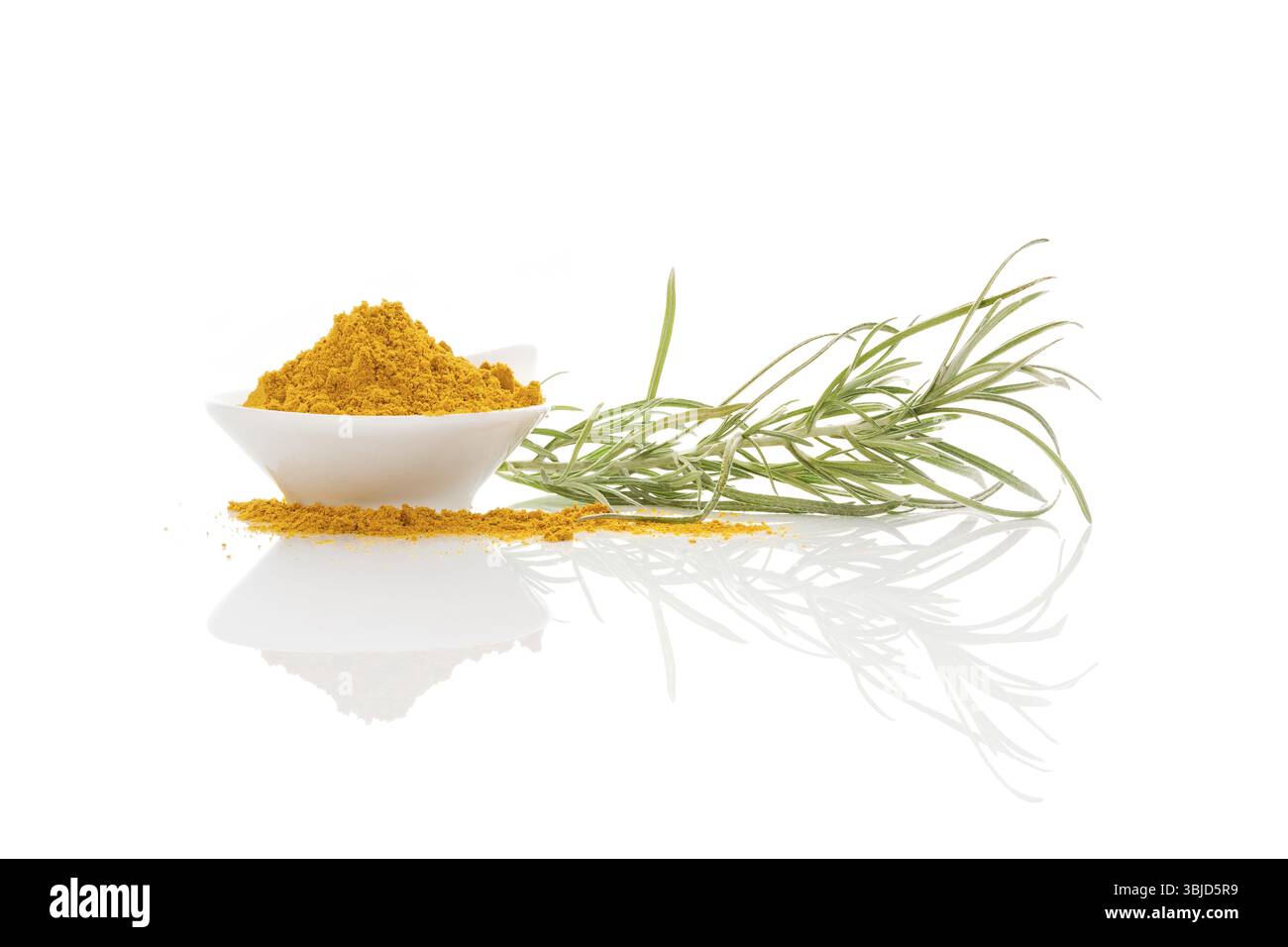 Carry spice and carry plant isolated on white background. Aromatic ...