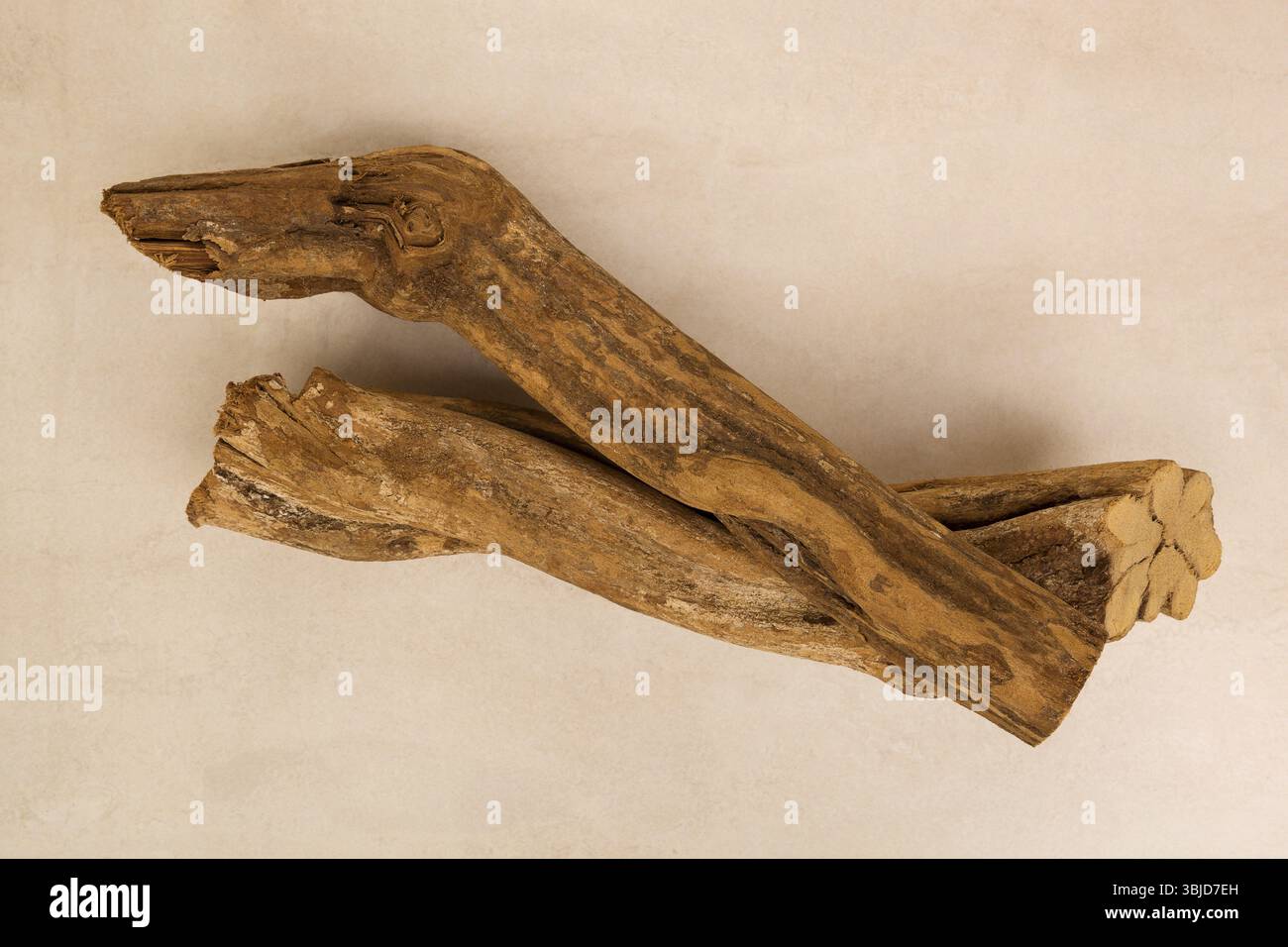 Banisteriopsis caapi wood, traditional visionary medicine Ayahuasca ...