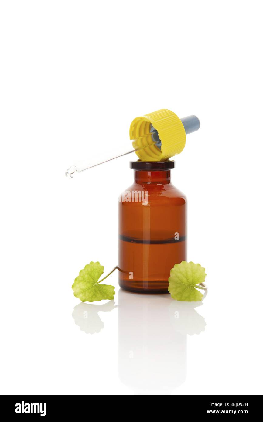 Asiatic Pennywort Gotu kola extract in dropper with Gotu Kola leaves ...