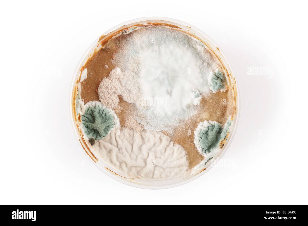 Mold on food close Cut Out Stock Images & Pictures - Alamy