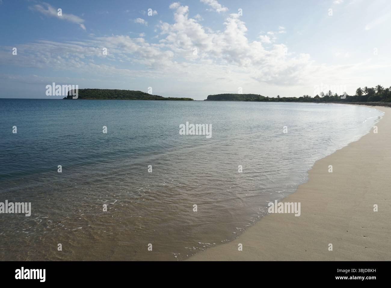Puerto rico bay vieques hi-res stock photography and images - Alamy