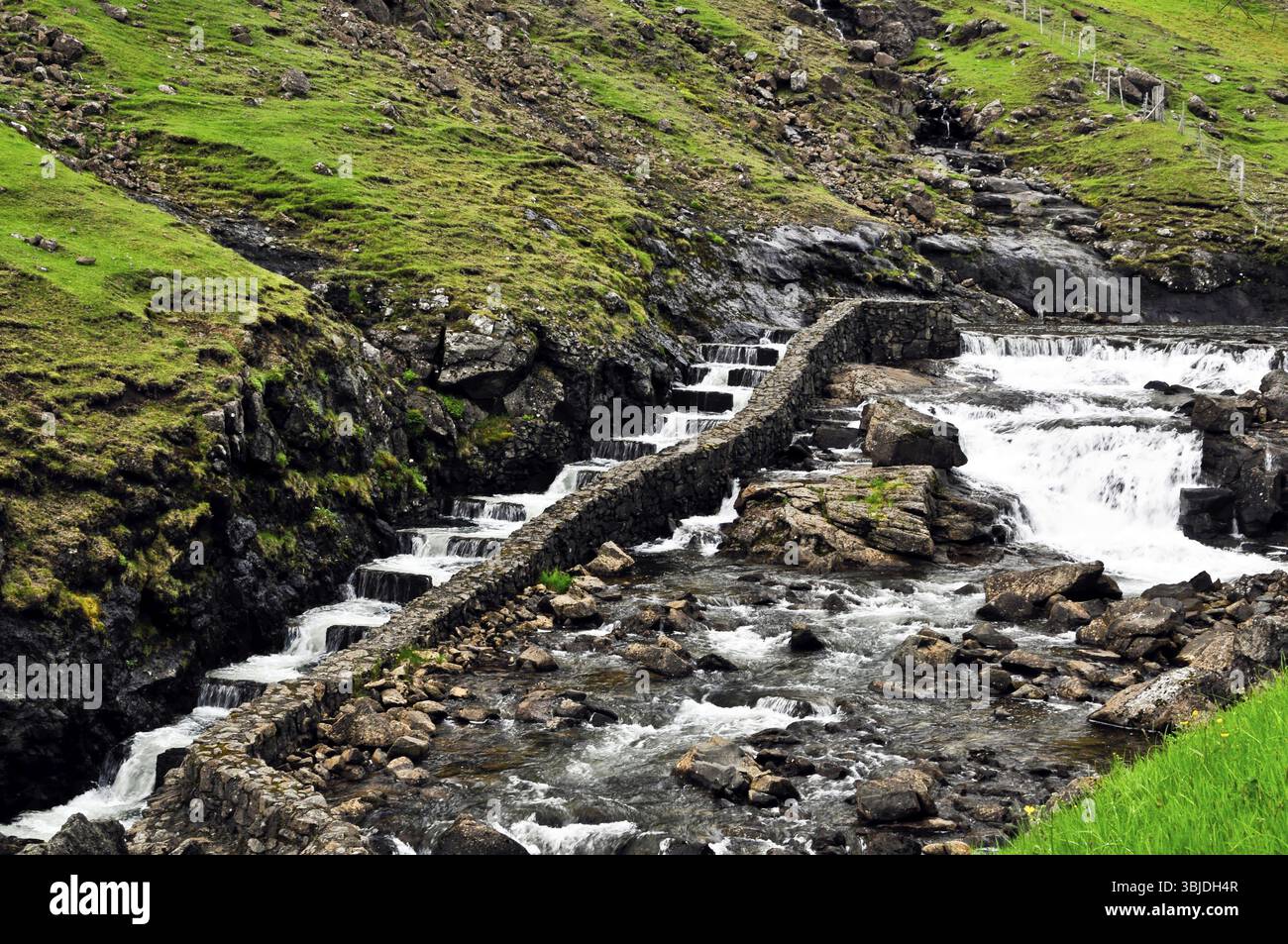 Spawn installation hi-res stock photography and images - Alamy