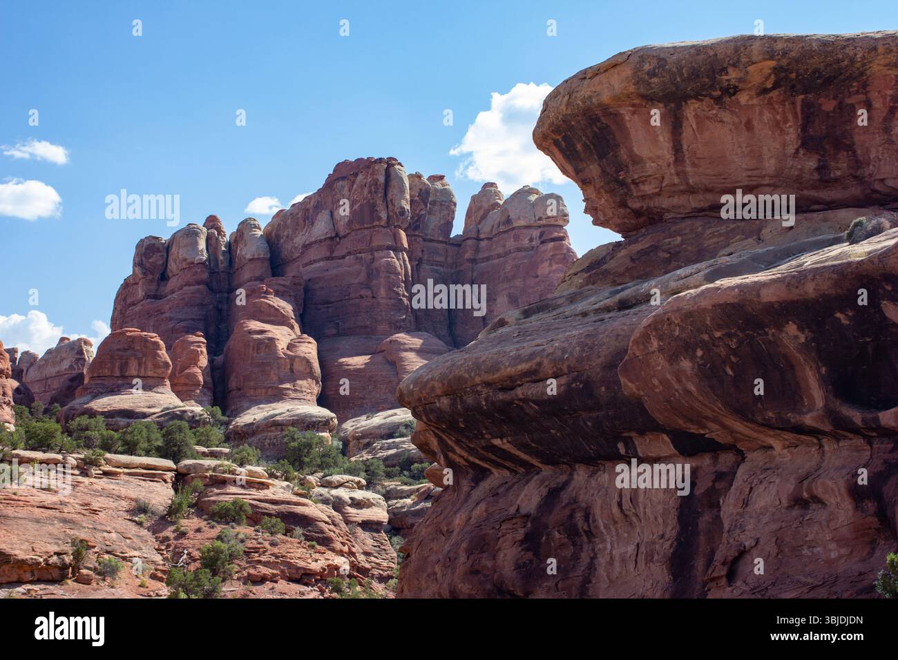 Exploring rugged terrain vibrant flora hi-res stock photography and ...