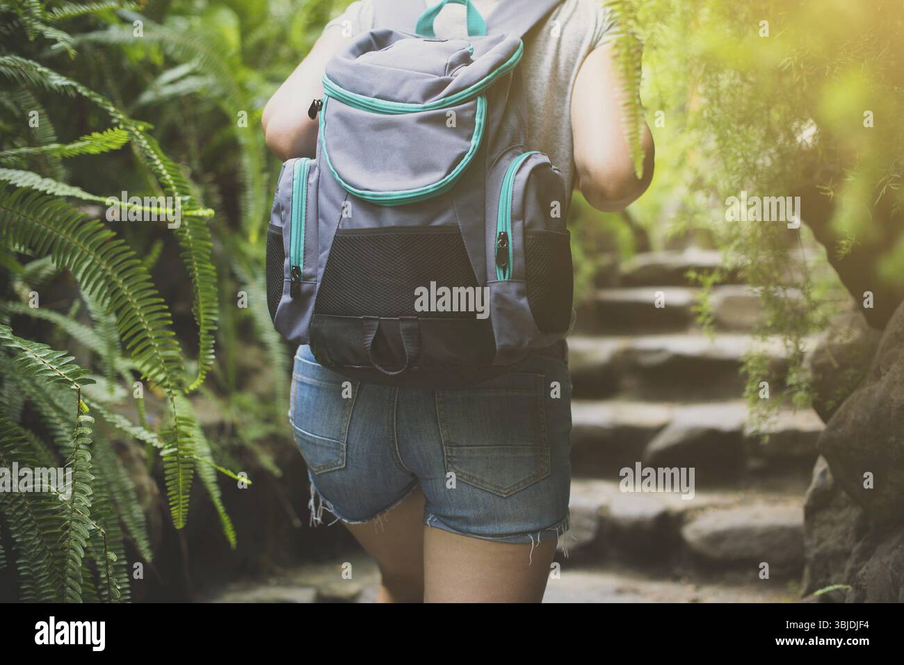 Woman tourist in forest backpack hi-res stock photography and images ...
