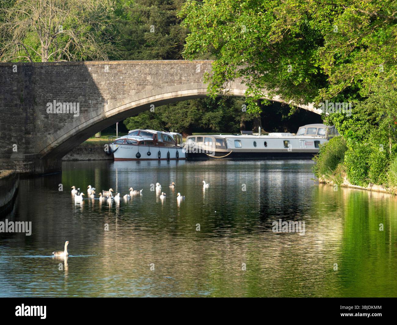 Abingdon's fine medieval stone bridge on the Thames, on a spring ...