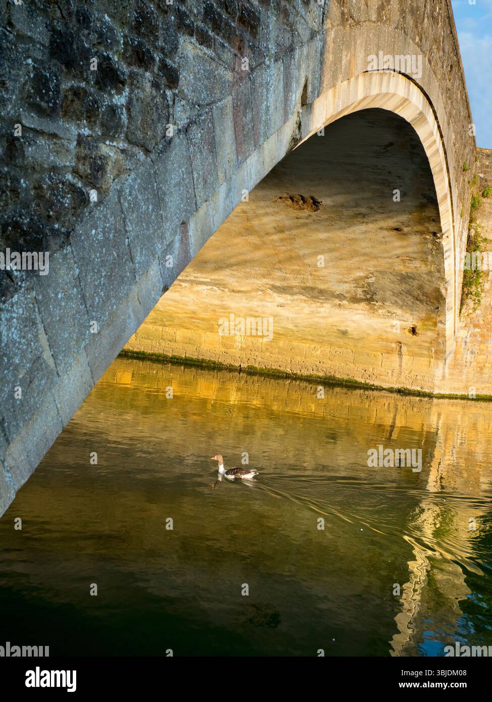 Main arch and reflections of Abingdon's medieval stone bridge over the ...