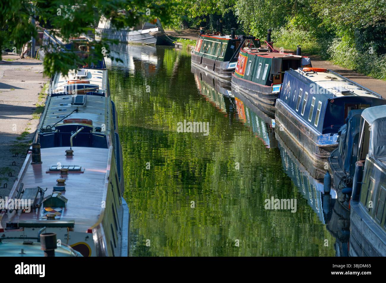 Lines of houseboats moored by the canal at Jericho, Oxford, viewed from ...