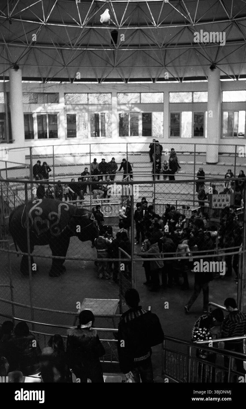 Audience kids Black and White Stock Photos & Images - Alamy