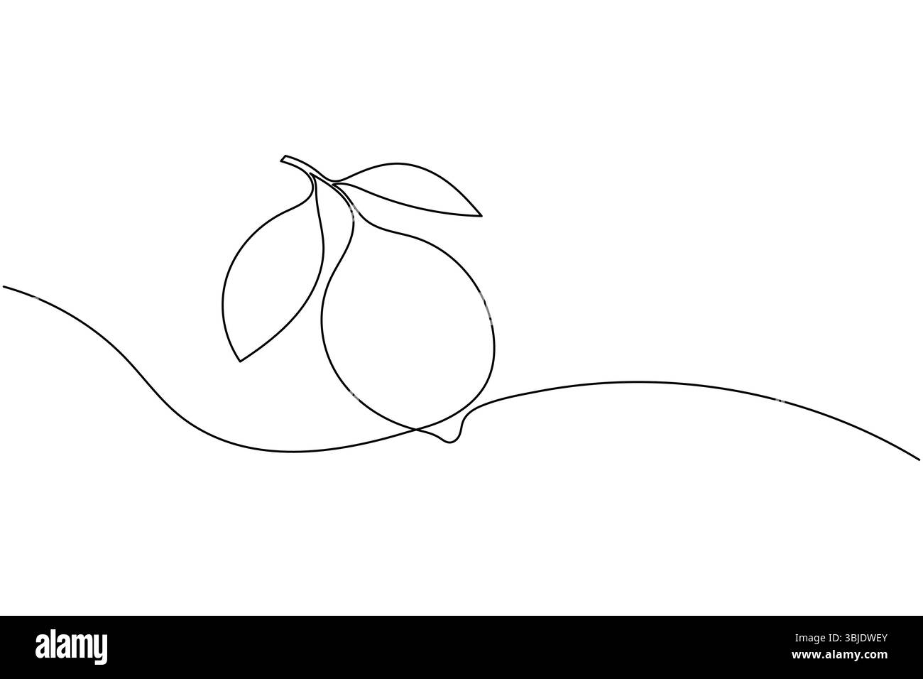 Lemon fruit continuous one line drawing minimal style isolated on white ...