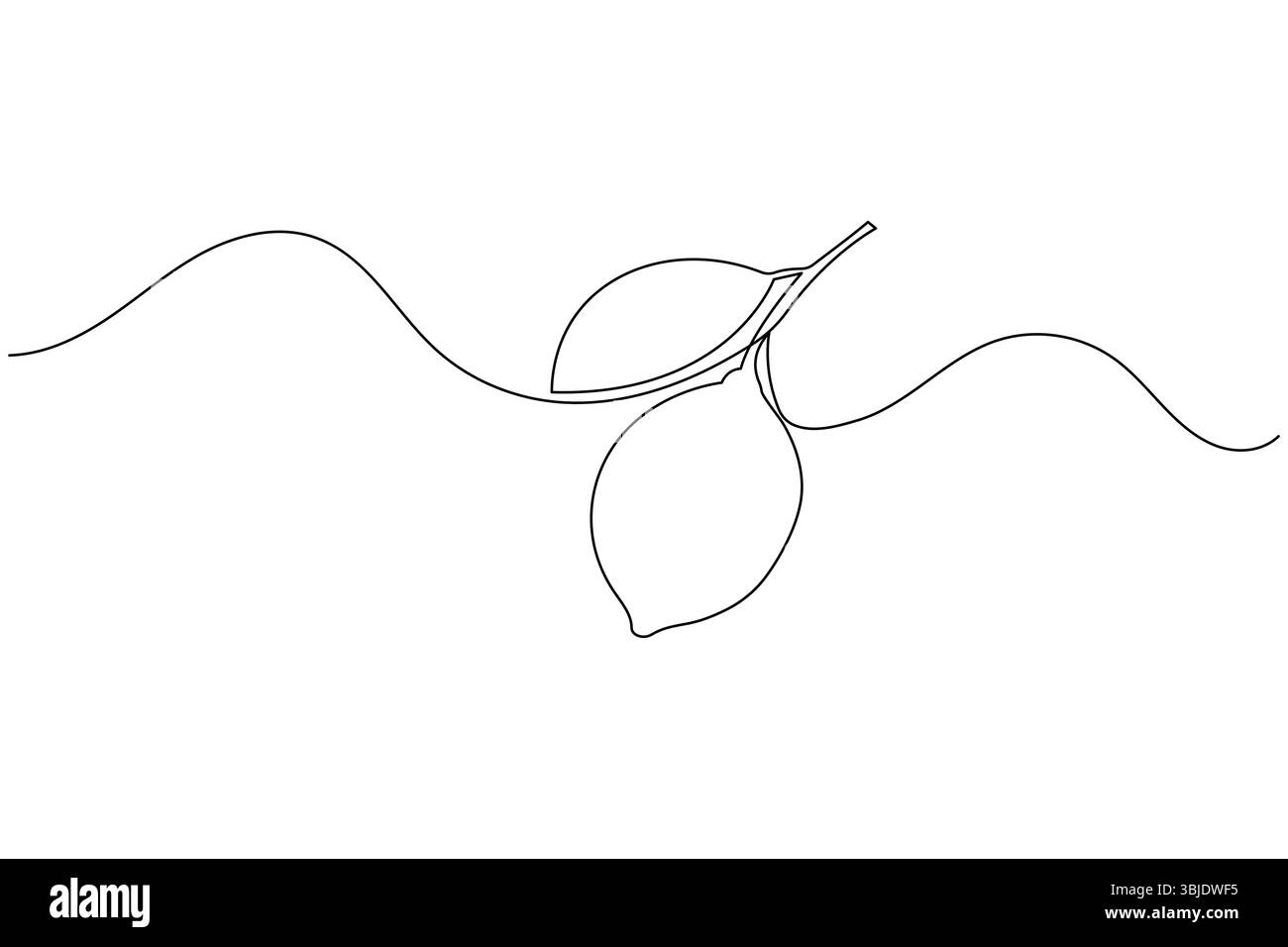 Lemon fruit continuous one line drawing minimal style isolated on white ...