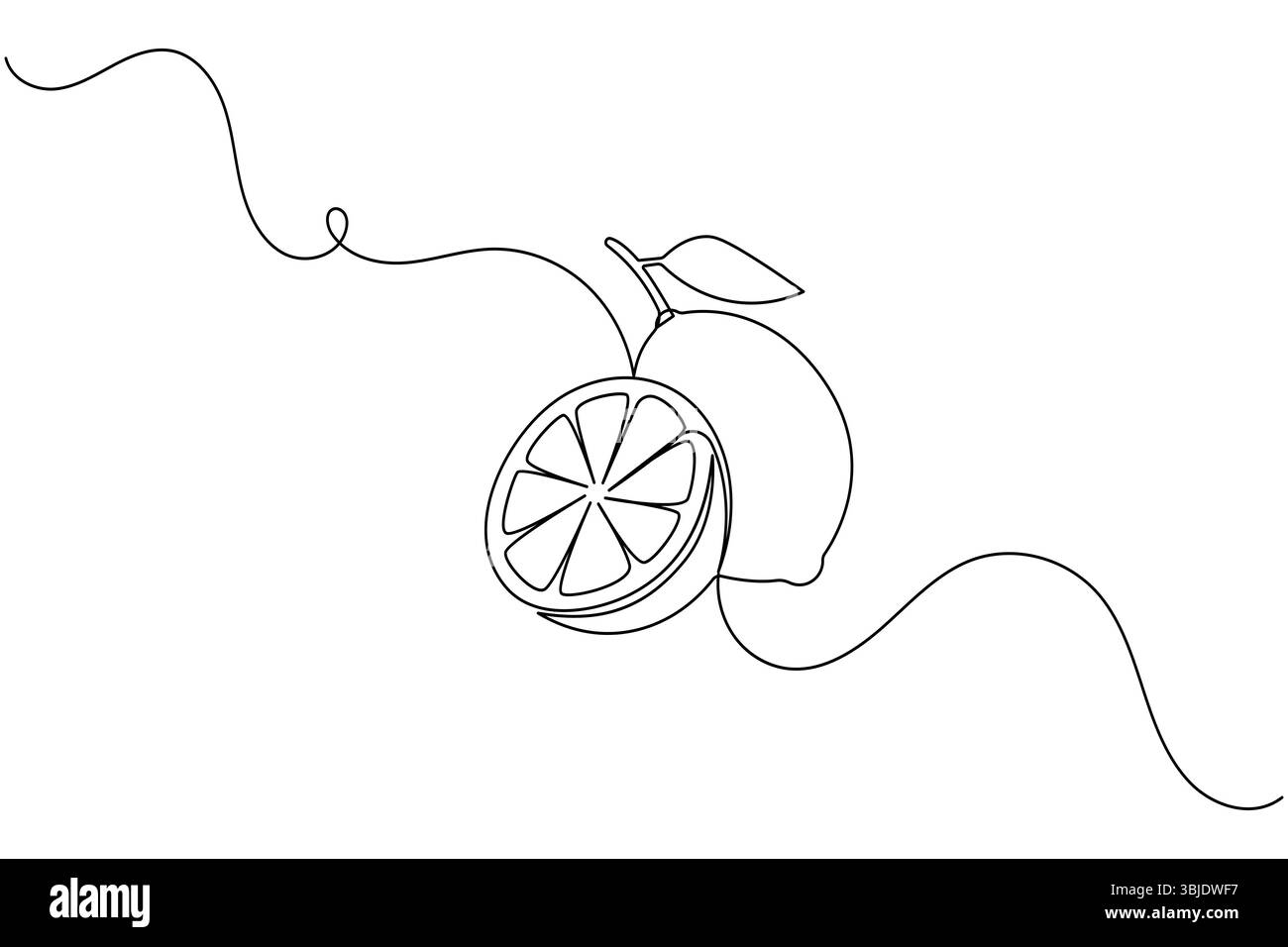 Lemon fruit continuous one line drawing minimal style isolated on white ...