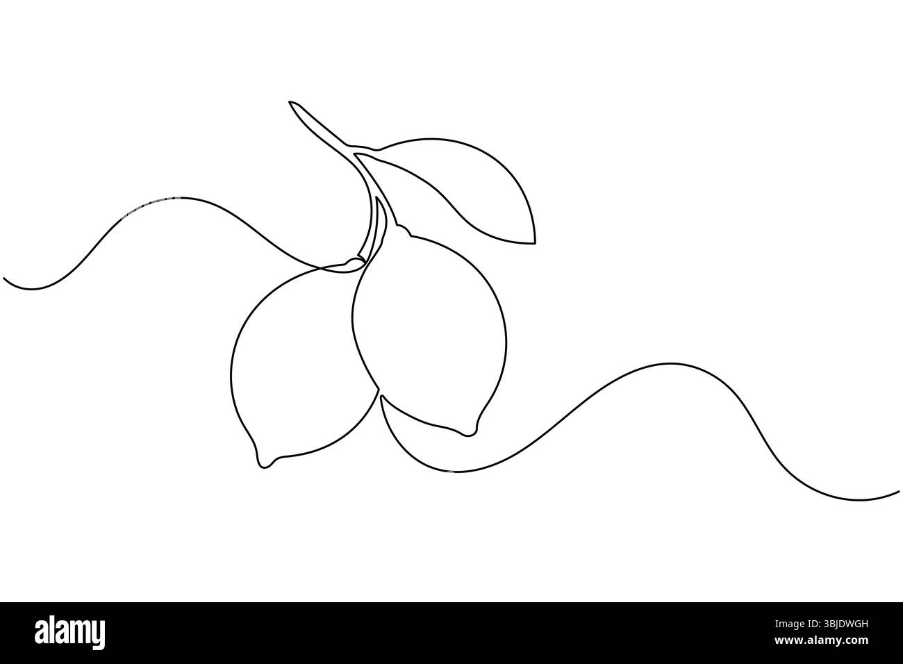 Lemon fruit continuous one line drawing minimal style isolated on white ...