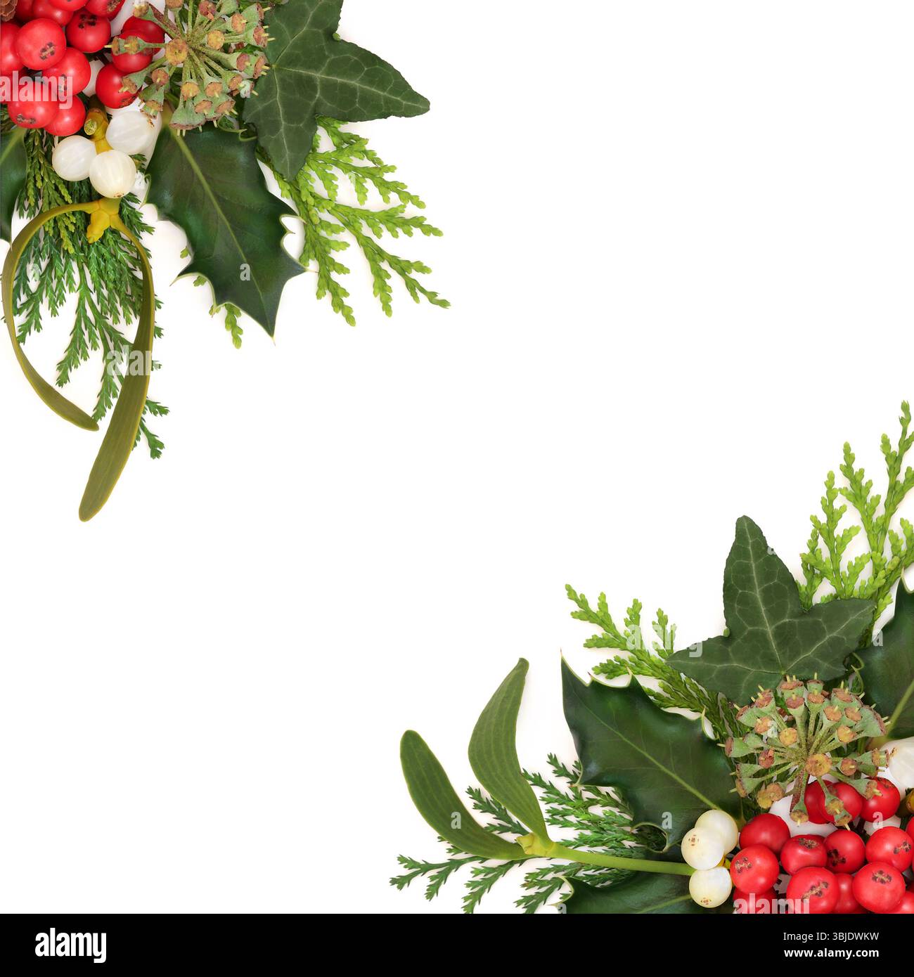 Winter solstice nature Christmas background border on white ...