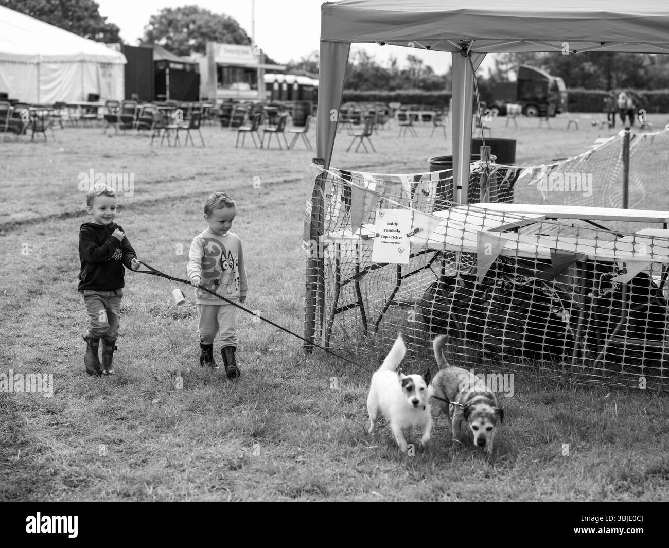 FRADDON CORNWALL TRACTOR CLUB ANNUAL VINTAGE RALLY AND COUNTRY FAYRE ...
