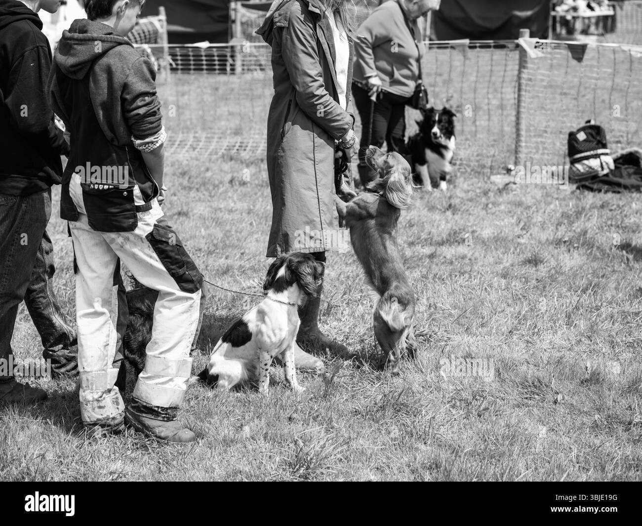FRADDON CORNWALL TRACTOR CLUB ANNUAL VINTAGE RALLY AND COUNTRY FAYRE ...