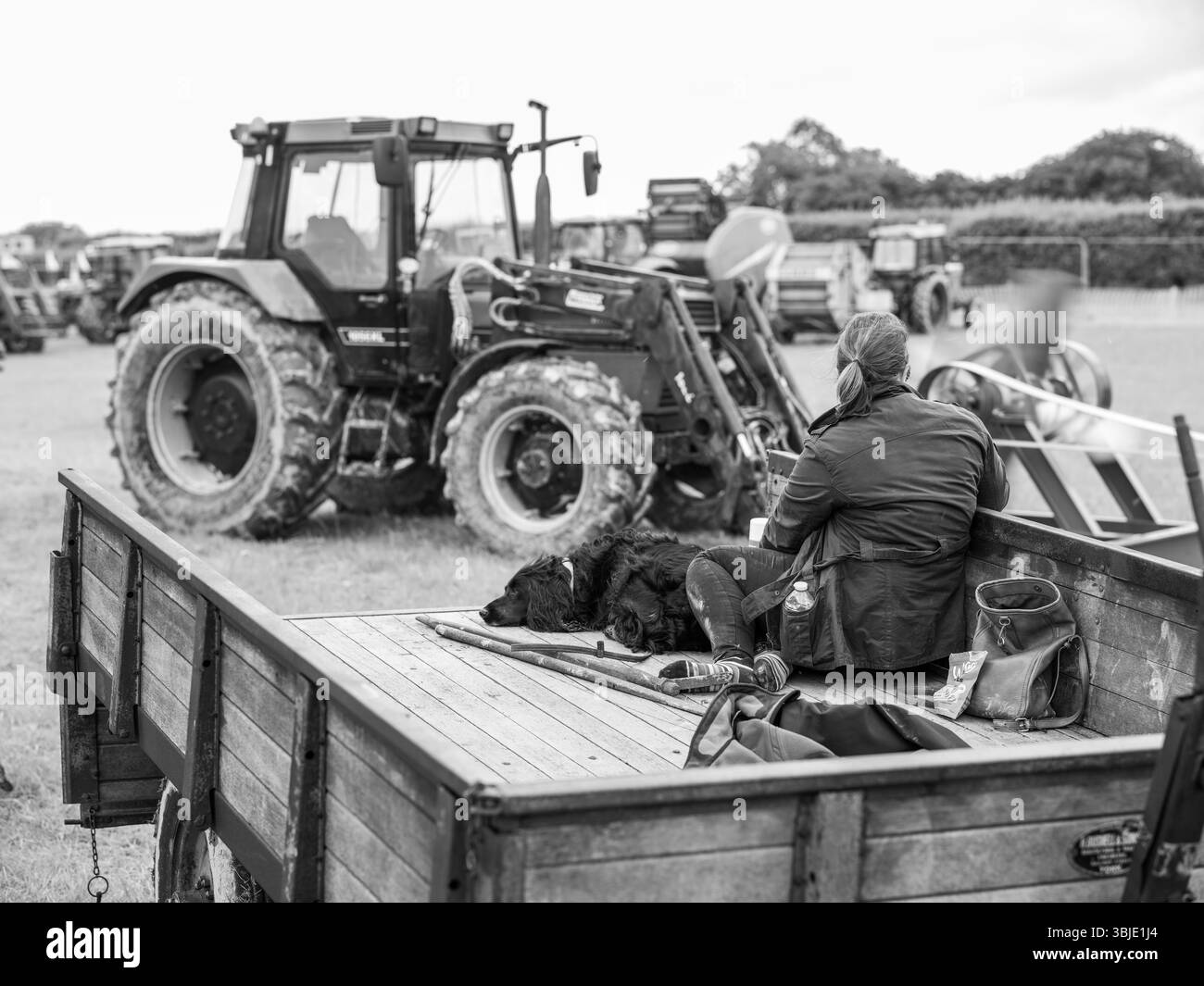 FRADDON CORNWALL TRACTOR CLUB ANNUAL VINTAGE RALLY AND COUNTRY FAYRE ...