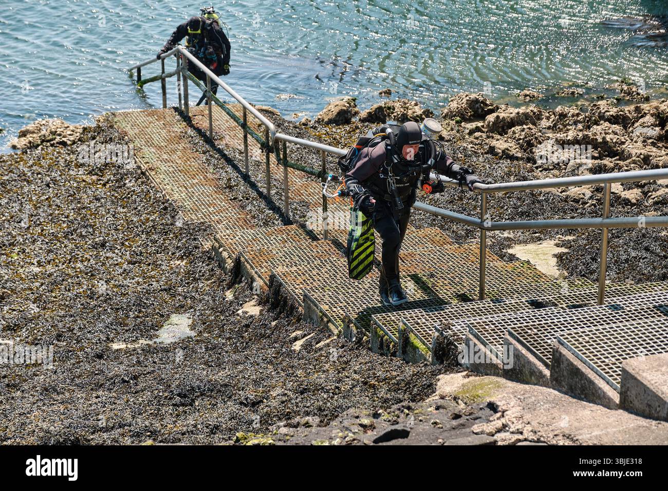 May 20, 2025 - Zierikzee-Netherlands: Two scuba divers climbing stairs ...