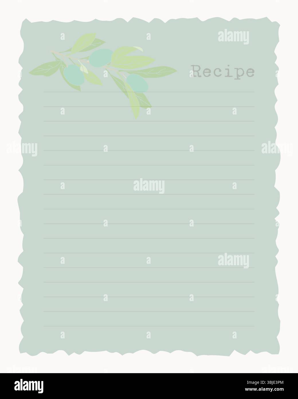 Blank recipe card template with olive branch. Vintage old paper style ...