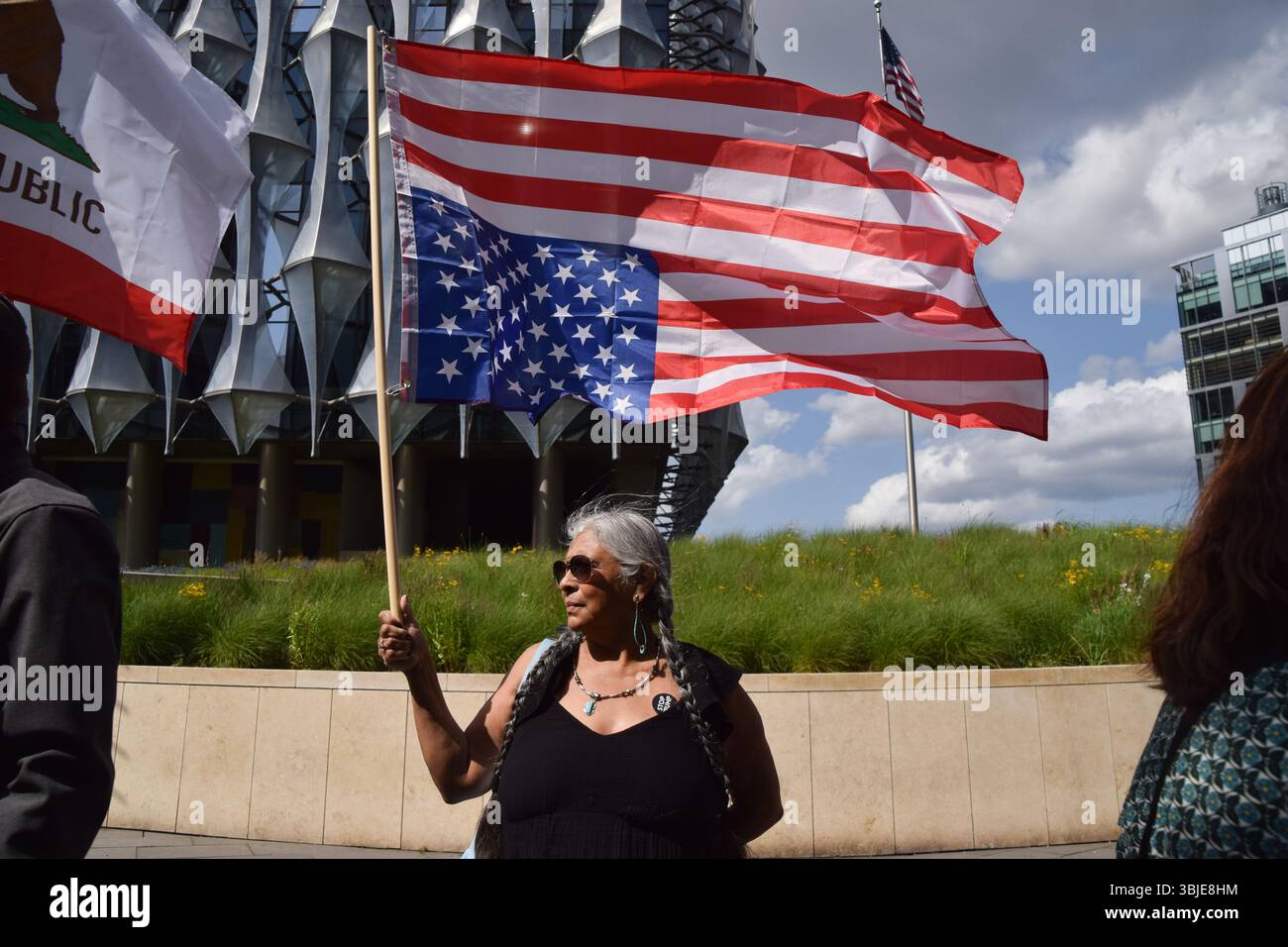 American flag no kings hi-res stock photography and images - Alamy
