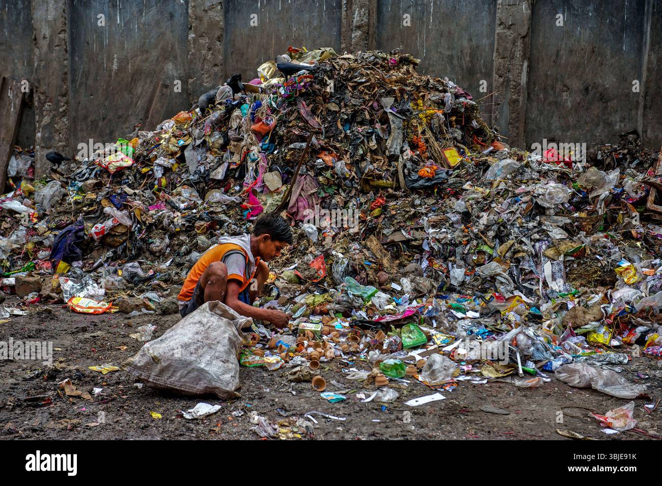 A middle-aged man forages amongst the rubbish (garbage) for anything he ...