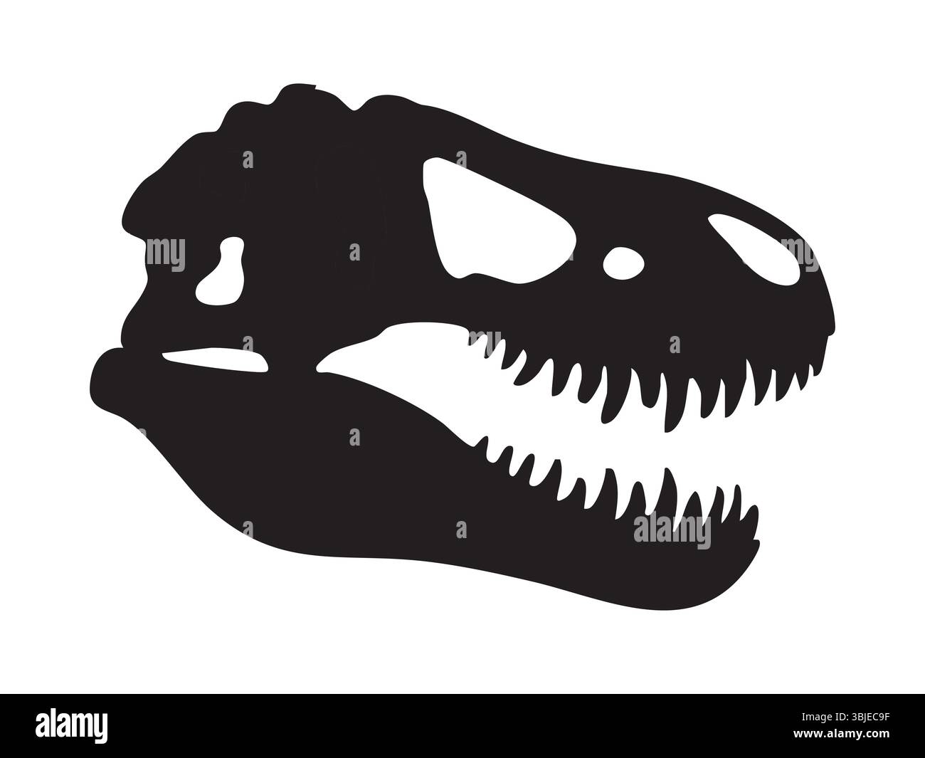 Black silhouette of Tyrannosaurus rex skull with sharp teeth and large ...
