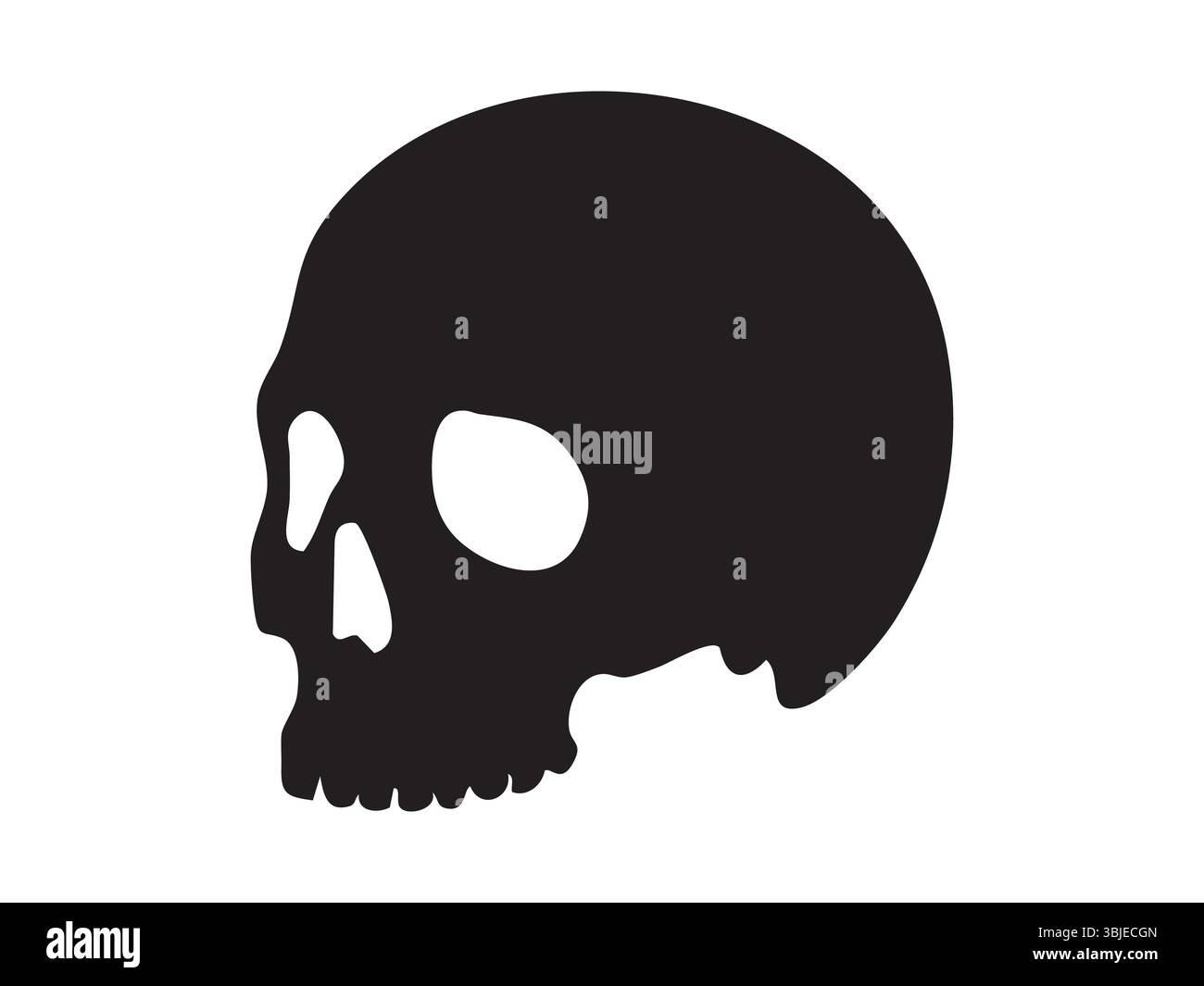 Black silhouette of human skull, side view isolated on white background, graphic illustration ...