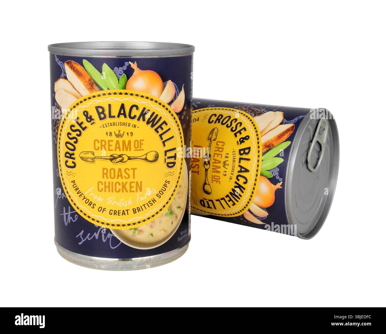 Crosse and Blackwell tinned cream of roast chicken soup in a 400g can ...