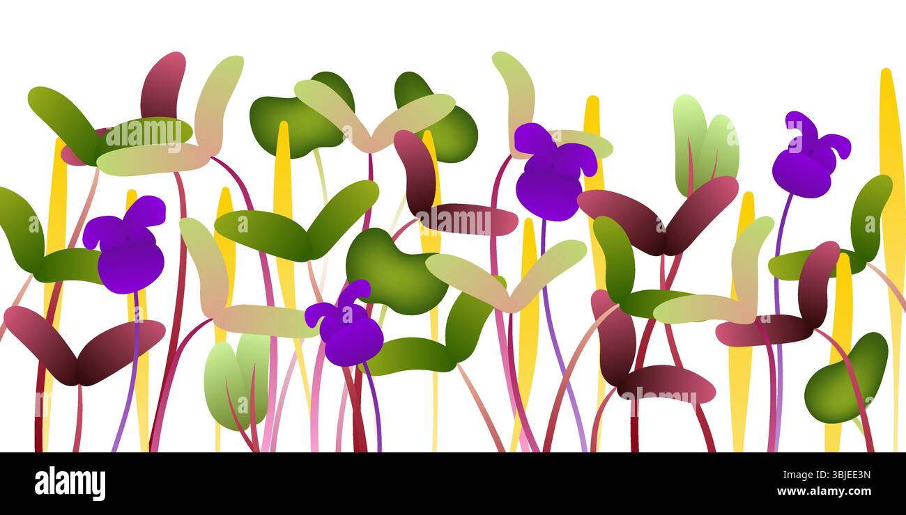 Healthy eating microgreens Stock Vector Images - Alamy