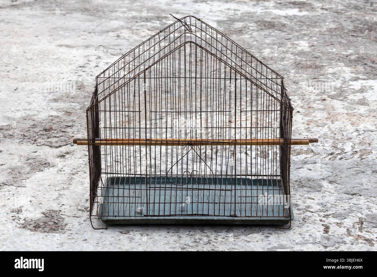 Empty bird cage on concrete. Symbol of freedom, loss, or abandonment ...