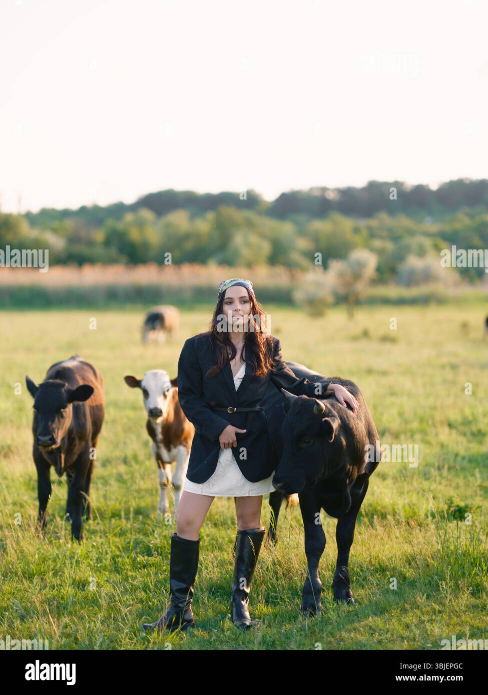 Young woman herding cows on a green pasture in the countryside. Rural ...