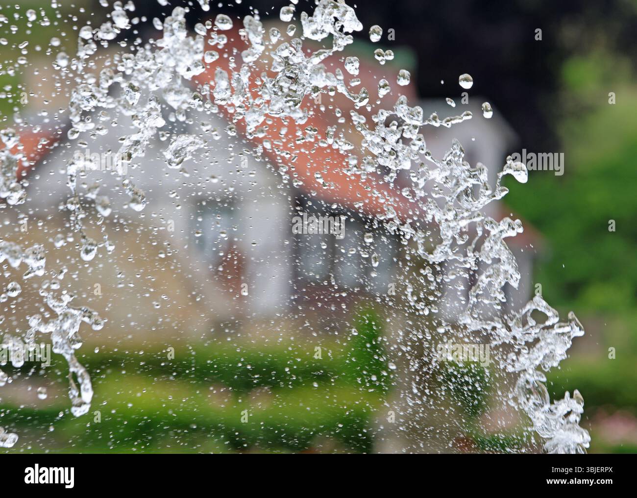 15 June 2025, Saxony-Anhalt, Blankenburg: Drops of water spurt from a ...
