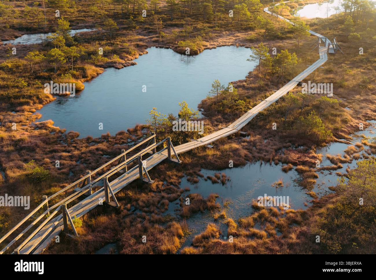 Elevated Boardwalk through Kemeri Bog in Kemeri National Park, Latvia ...