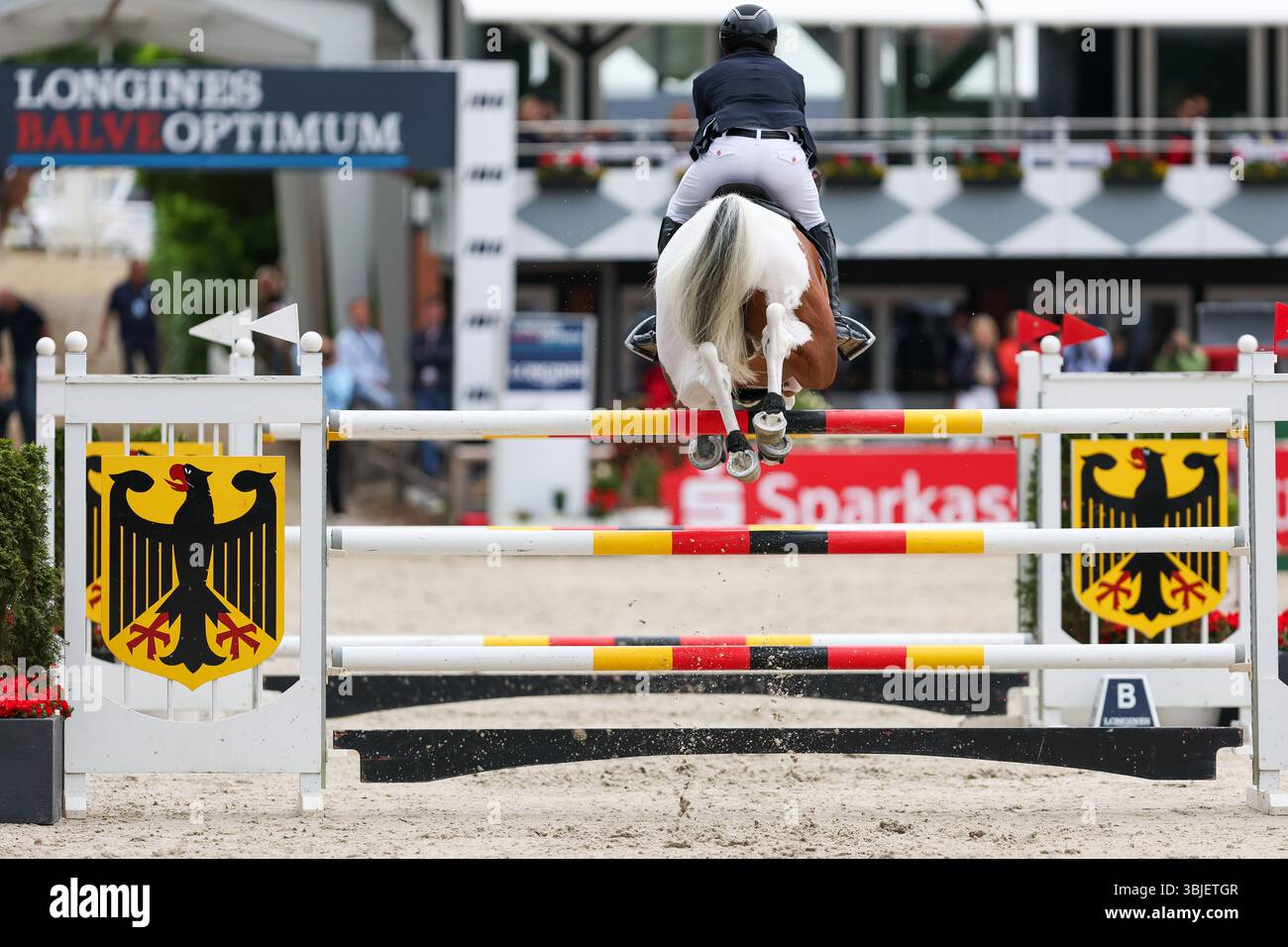 Balve, Germany. 15th June, 2025. Equestrian sport: German Championships ...