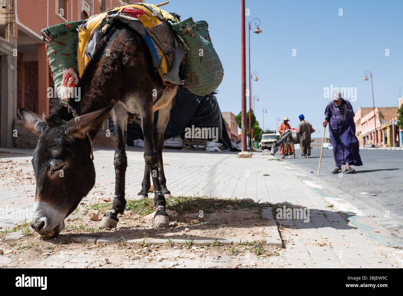 Berber people and donkeys in the street of a small town Stock Photo - Alamy