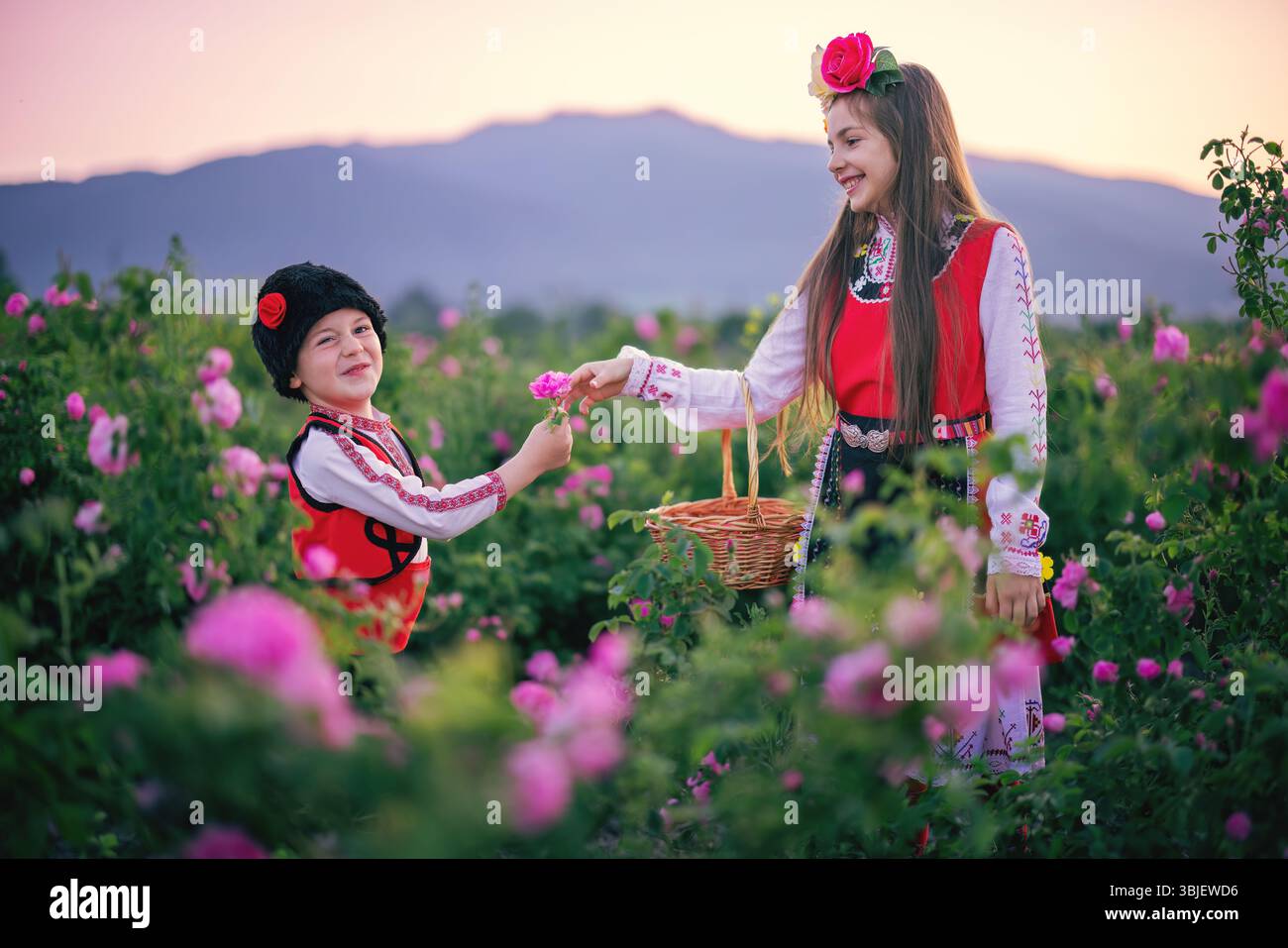Bulgarian rose valley near Kazanlak, Bulgaria and girl and boy sibling ...
