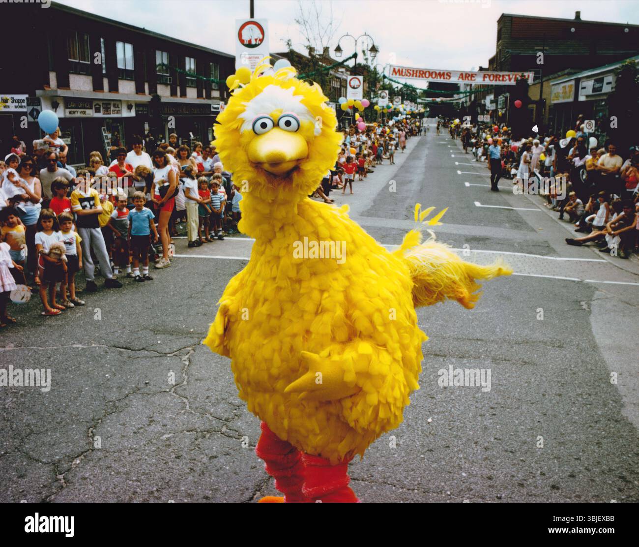 SESAME STREET PRESENTS: FOLLOW THAT BIRD (1985), directed by KEN KWAPIS ...