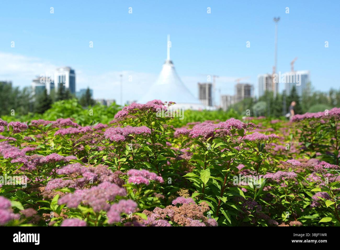 (250615) -- ASTANA, June 15, 2025 (Xinhua) -- This photo taken on June ...