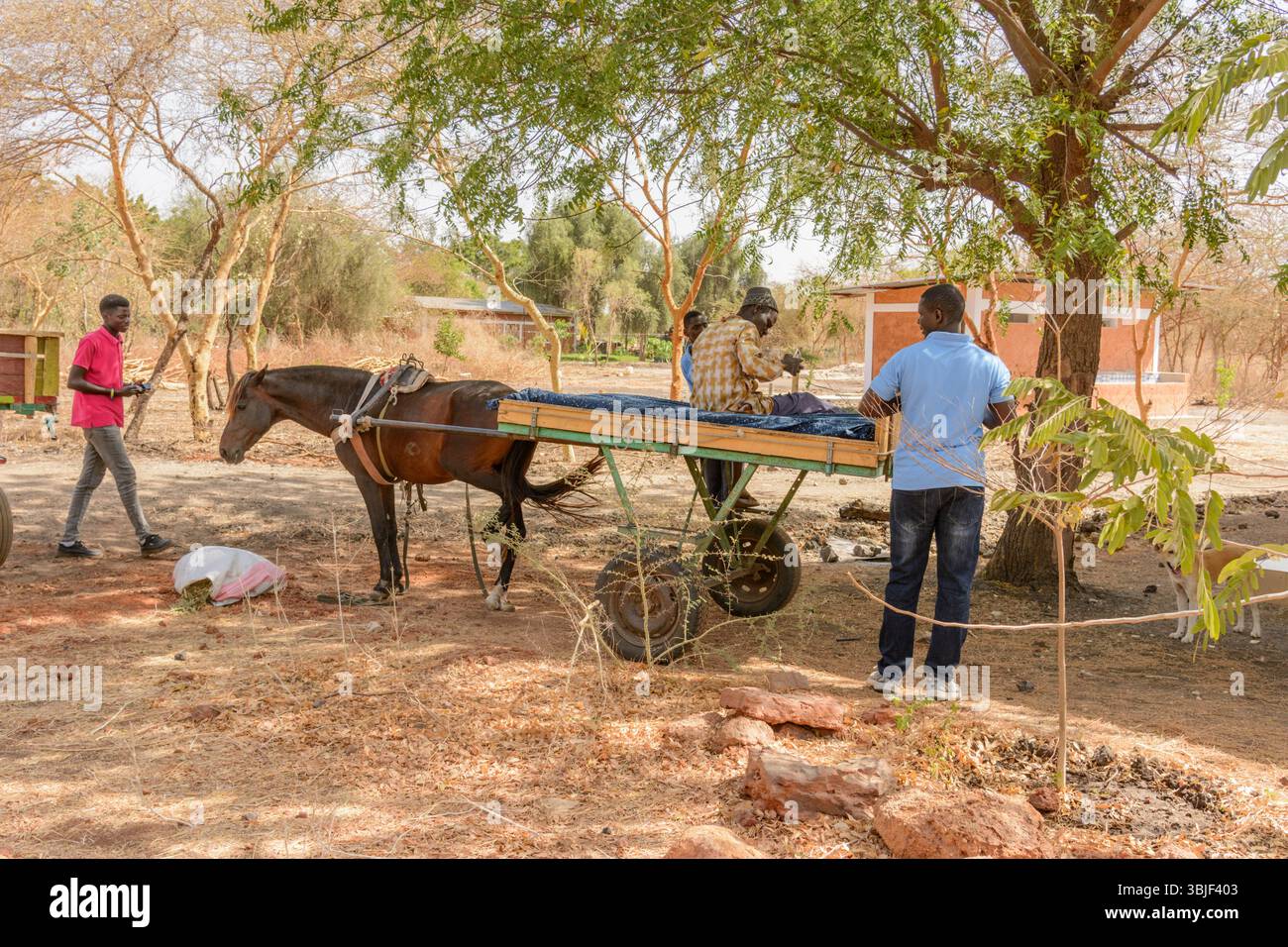 Horse carts are used for transport at the Beersheba Project, an ...