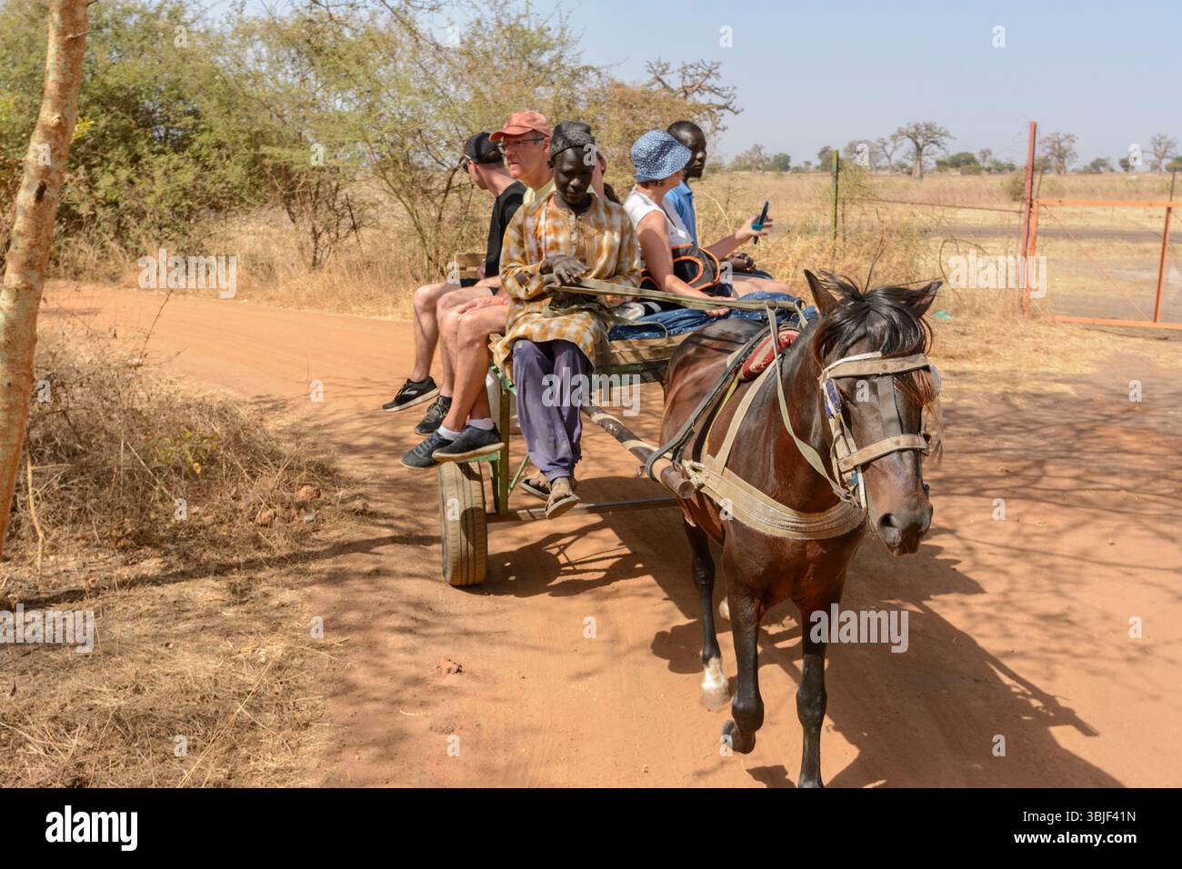Horse carts are used for transport at the Beersheba Project, an ...