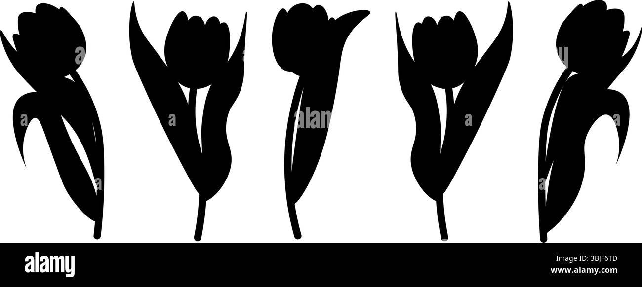 Set of isolated black tulip silhouettes. Spring flower. Design elements ...