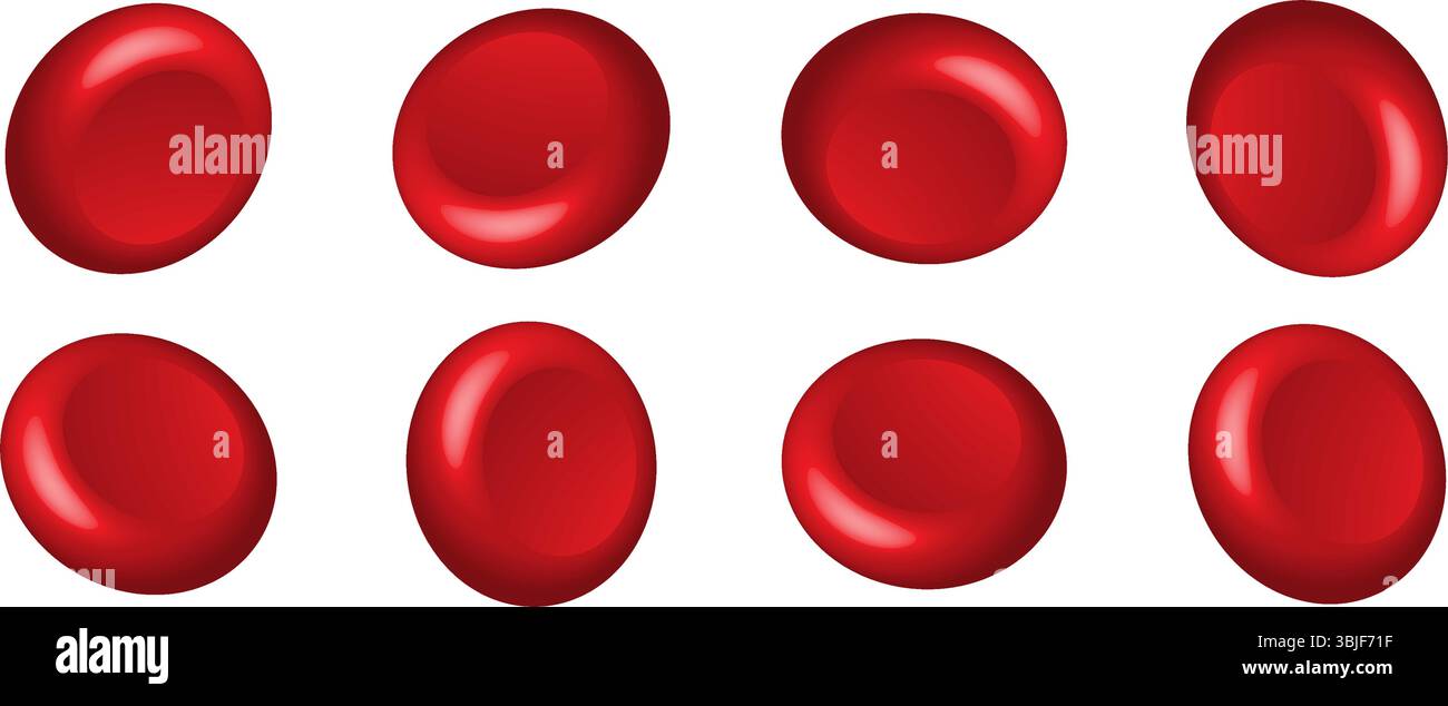 Set of 3D blood cell icon.Human red angle erythrocytes artery medical ...