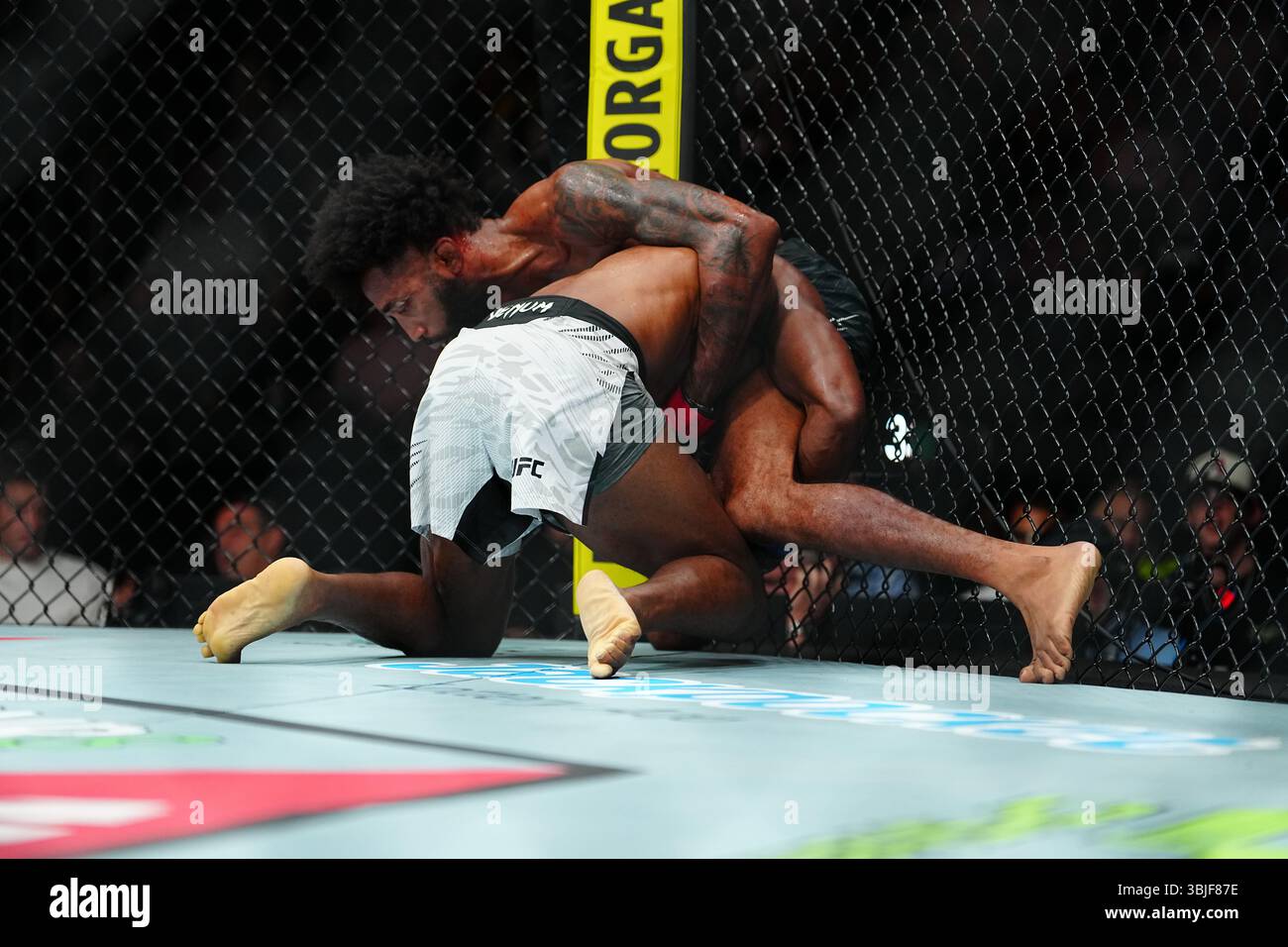ATLANTA, GA - JUNE 14: Phil Rowe and Ange Loosa meet in the octagon for ...