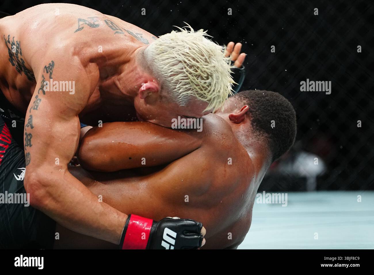 Cameron smotherman hi-res stock photography and images - Alamy